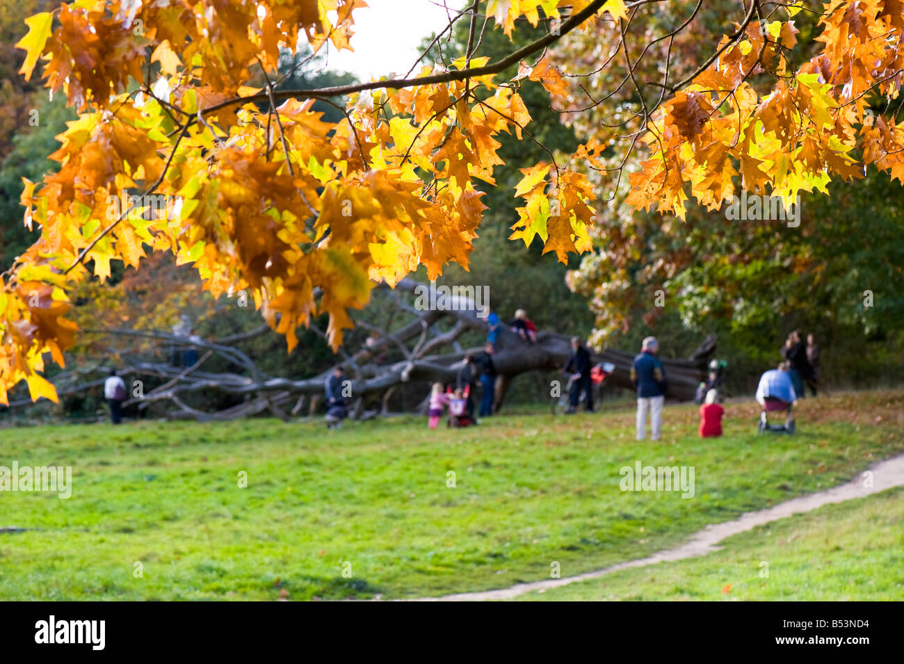 Nature on hampstead heath hi-res stock photography and images - Alamy