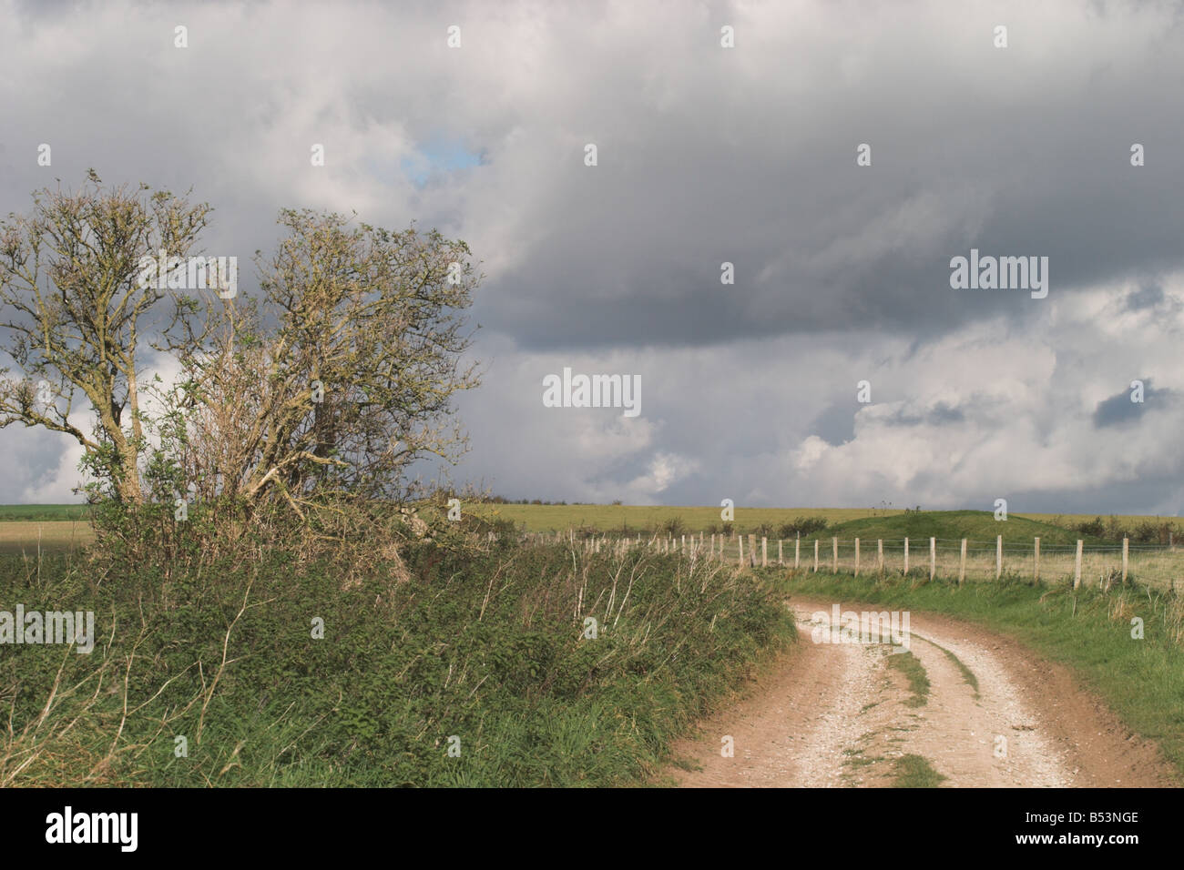 Bridle path uk hi-res stock photography and images - Alamy