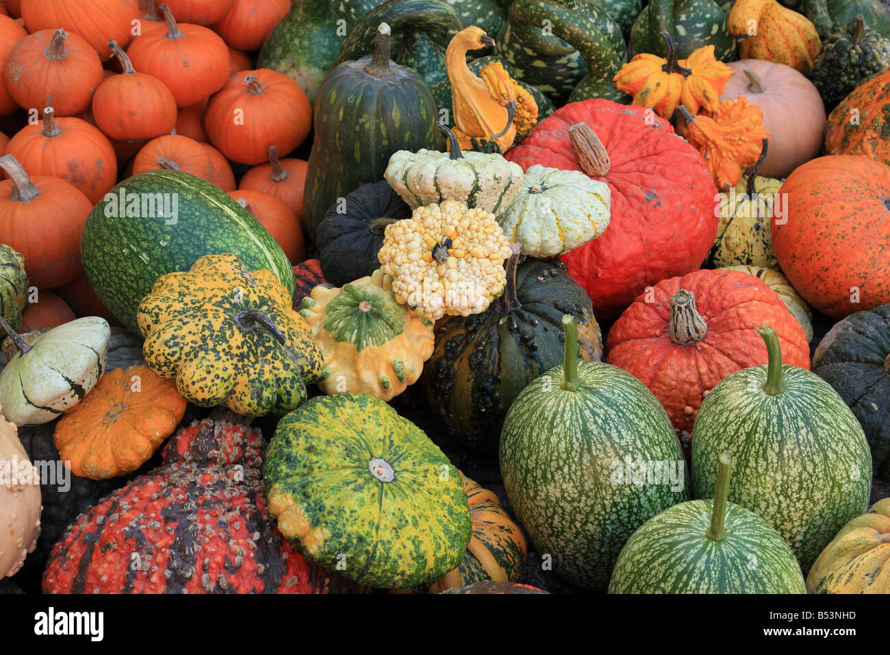 Multishaped hi-res stock photography and images - Alamy