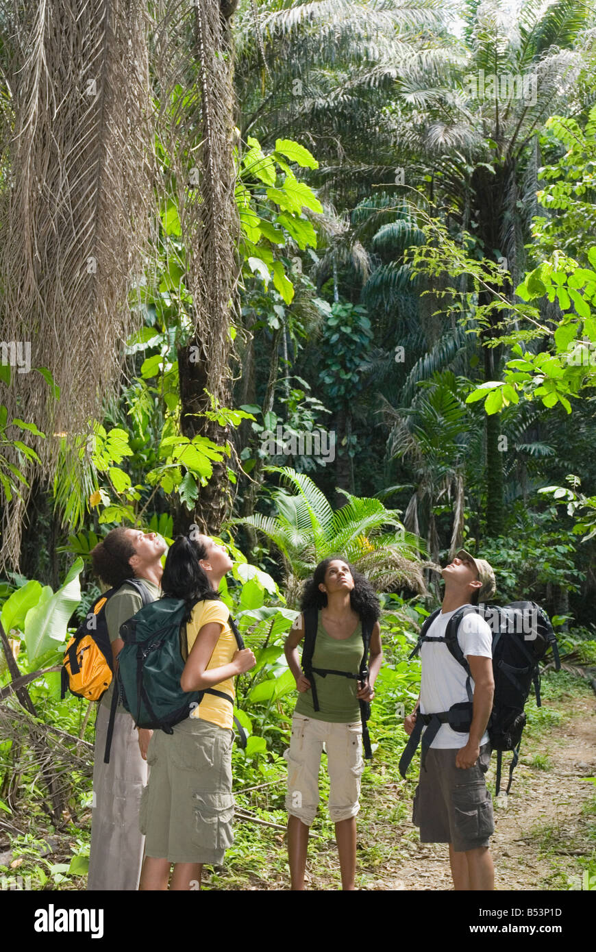 Friends in backpacks exploring jungle Stock Photo - Alamy