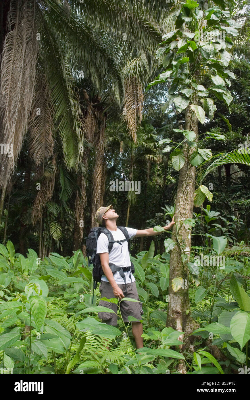 Hispanic man exploring jungle Stock Photo - Alamy Hispanic man exploring jungle Stock Photo - Alamy