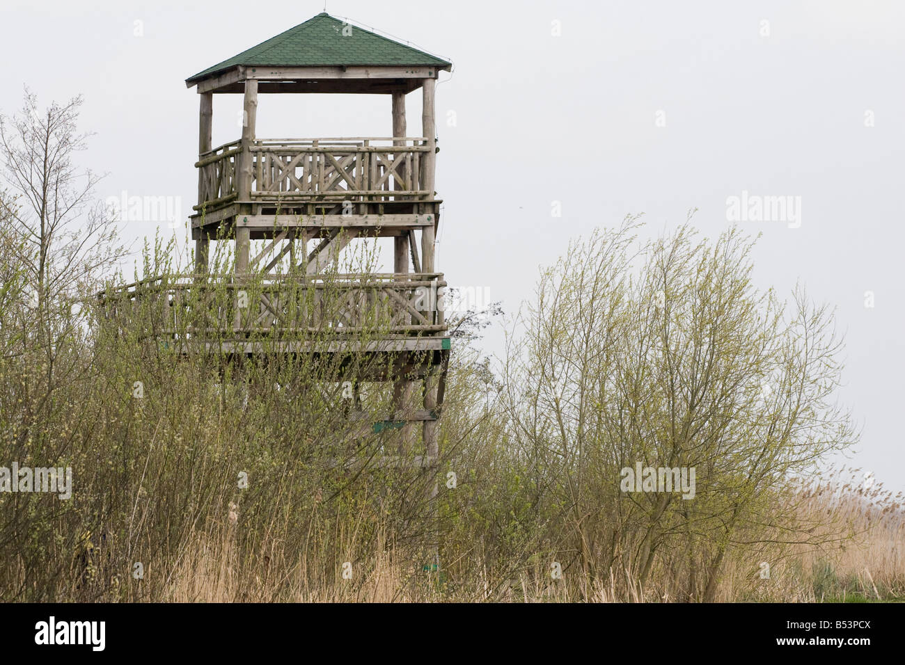 tower control tower to watch observe bird wildlife Stock Photo - Alamy