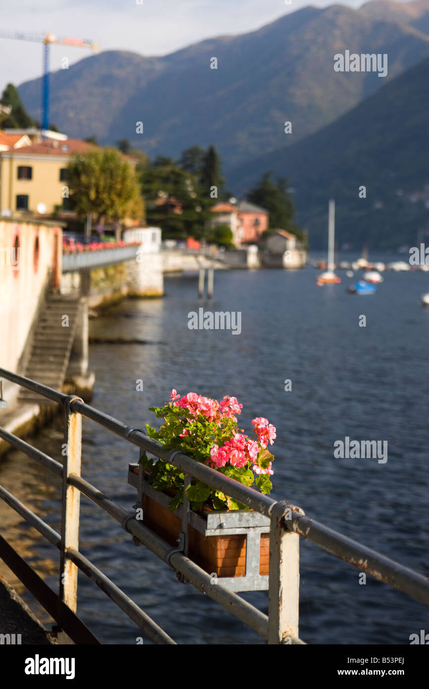 Lake Como coast and alps, Laglio, Como, Italy Stock Photo - Alamy