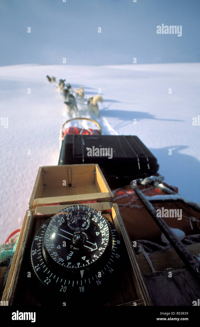 huskies - pulling sledge with compass Stock Photo - Alamy