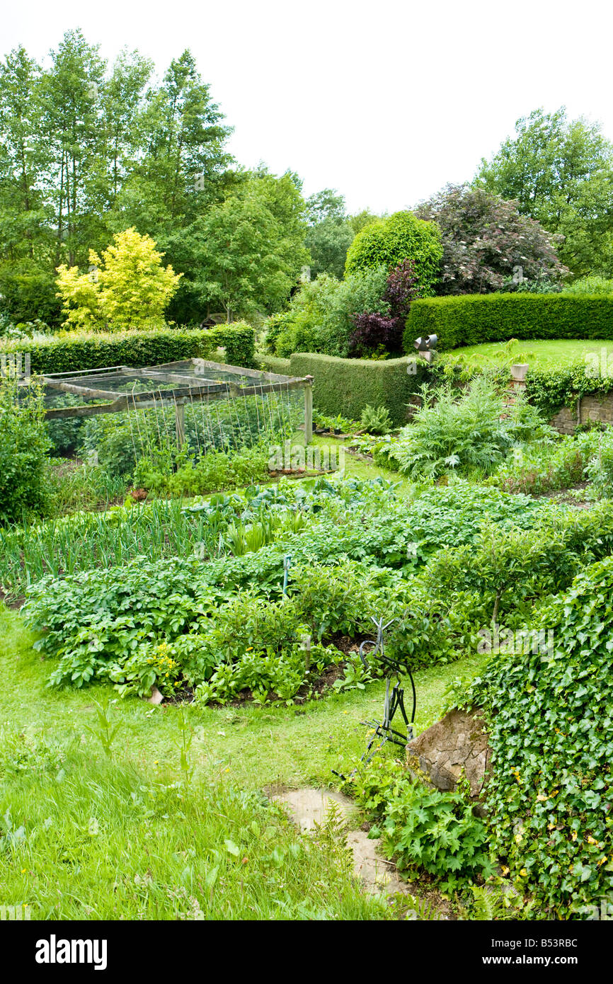 vegetable garden with crops growing Stock Photo - Alamy