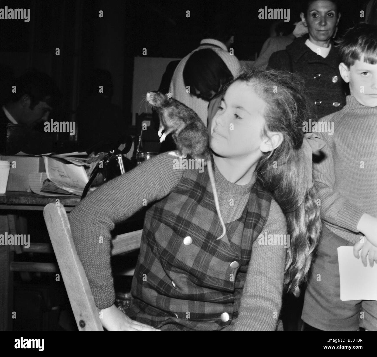 Fancy rat girl hi-res stock photography and images - Alamy