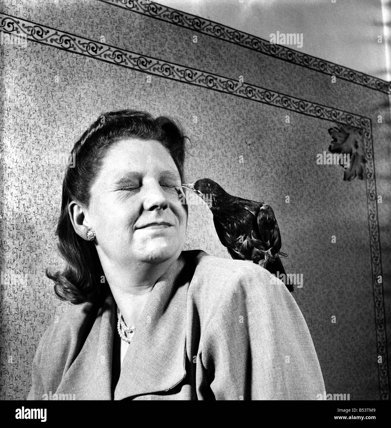 Mrs. Jessie Howe with the pigeon she restored to health after it had ...