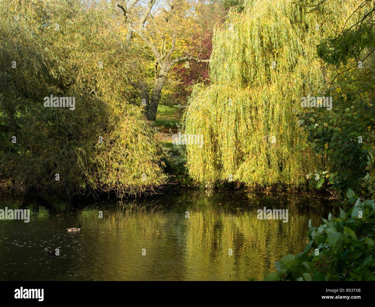 Waterlow hi-res stock photography and images - Alamy