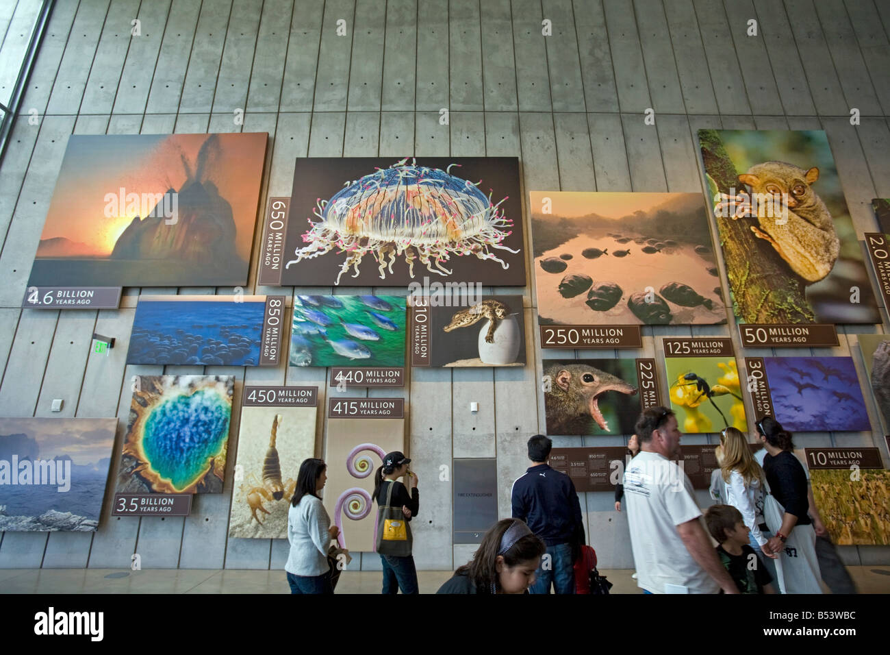 Islands of Evolution Exhibit California Academy of Sciences Golden Gate ...