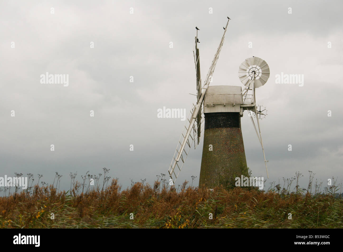 Thurne Dyke windmill on the River Thurne, Norfolk Broads, England Stock ...