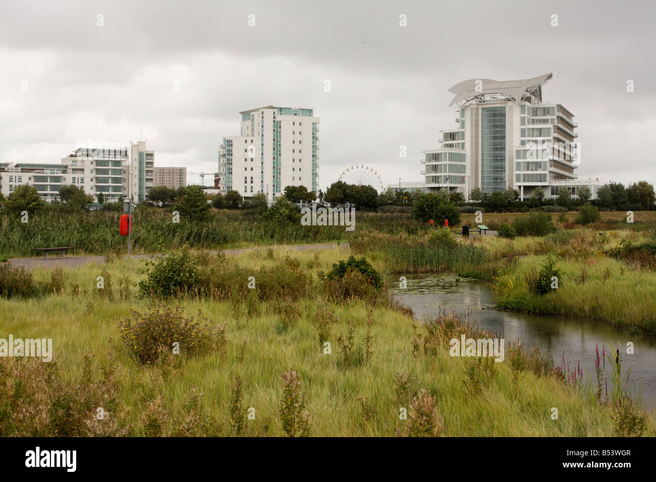 Cardiff bay wetland reserve hi-res stock photography and images - Alamy