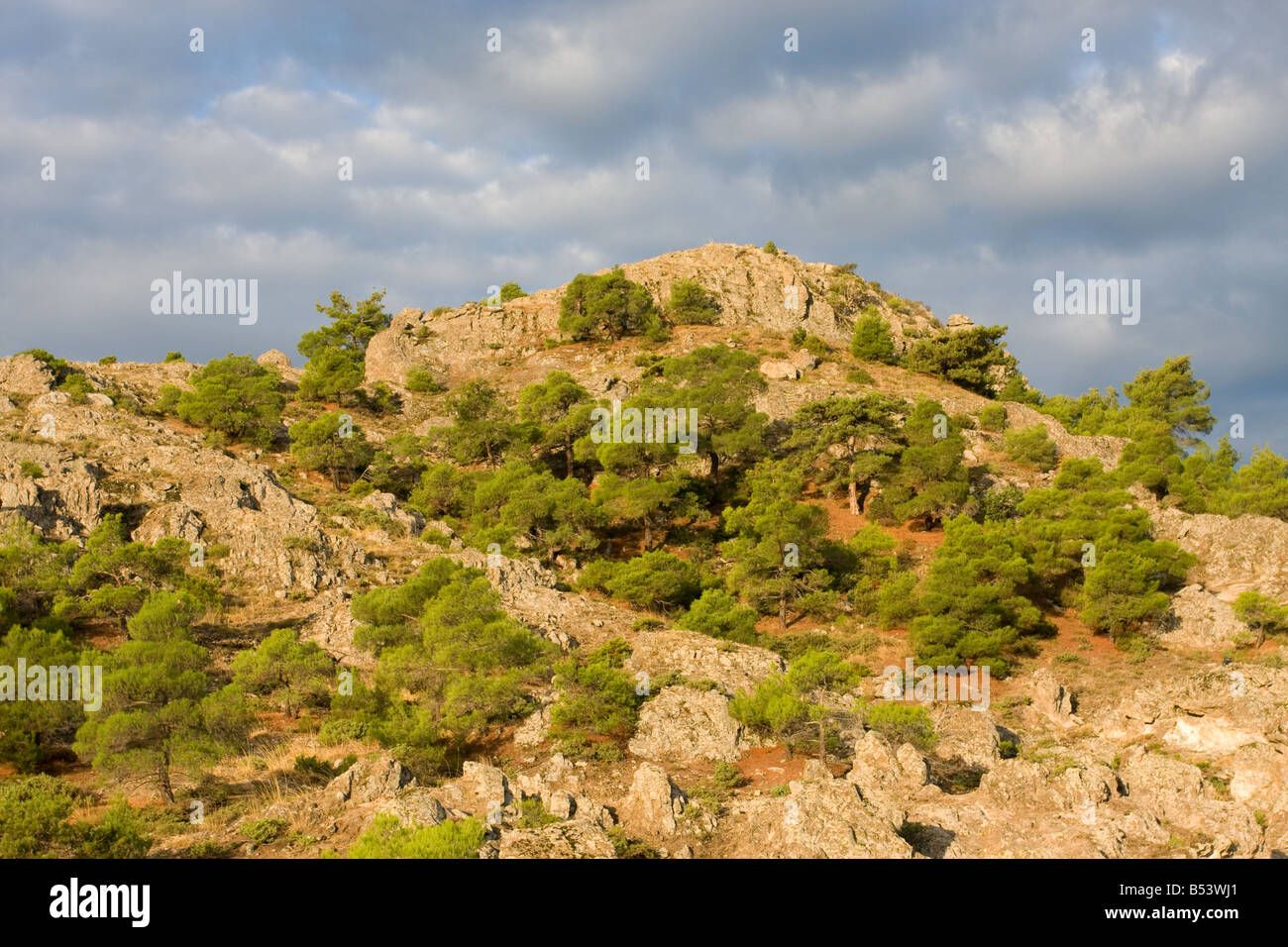 Dadia national park hi-res stock photography and images - Alamy
