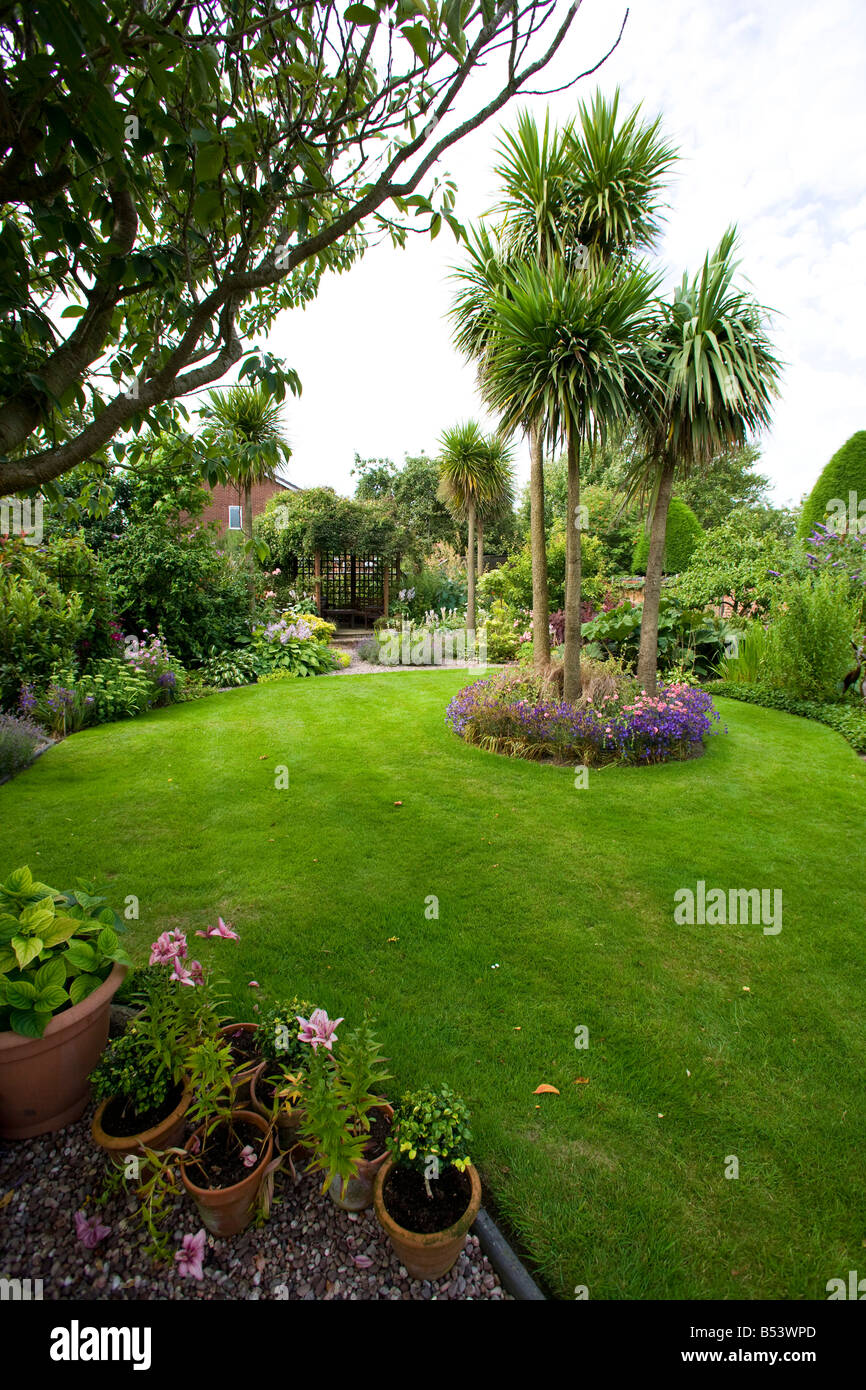 large lawn with pot plants and Cordyline Stock Photo - Alamy