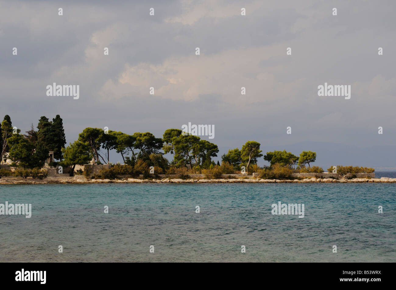 Evergreen trees on the beach in Supetar on the island of Brac Dalmatia ...
