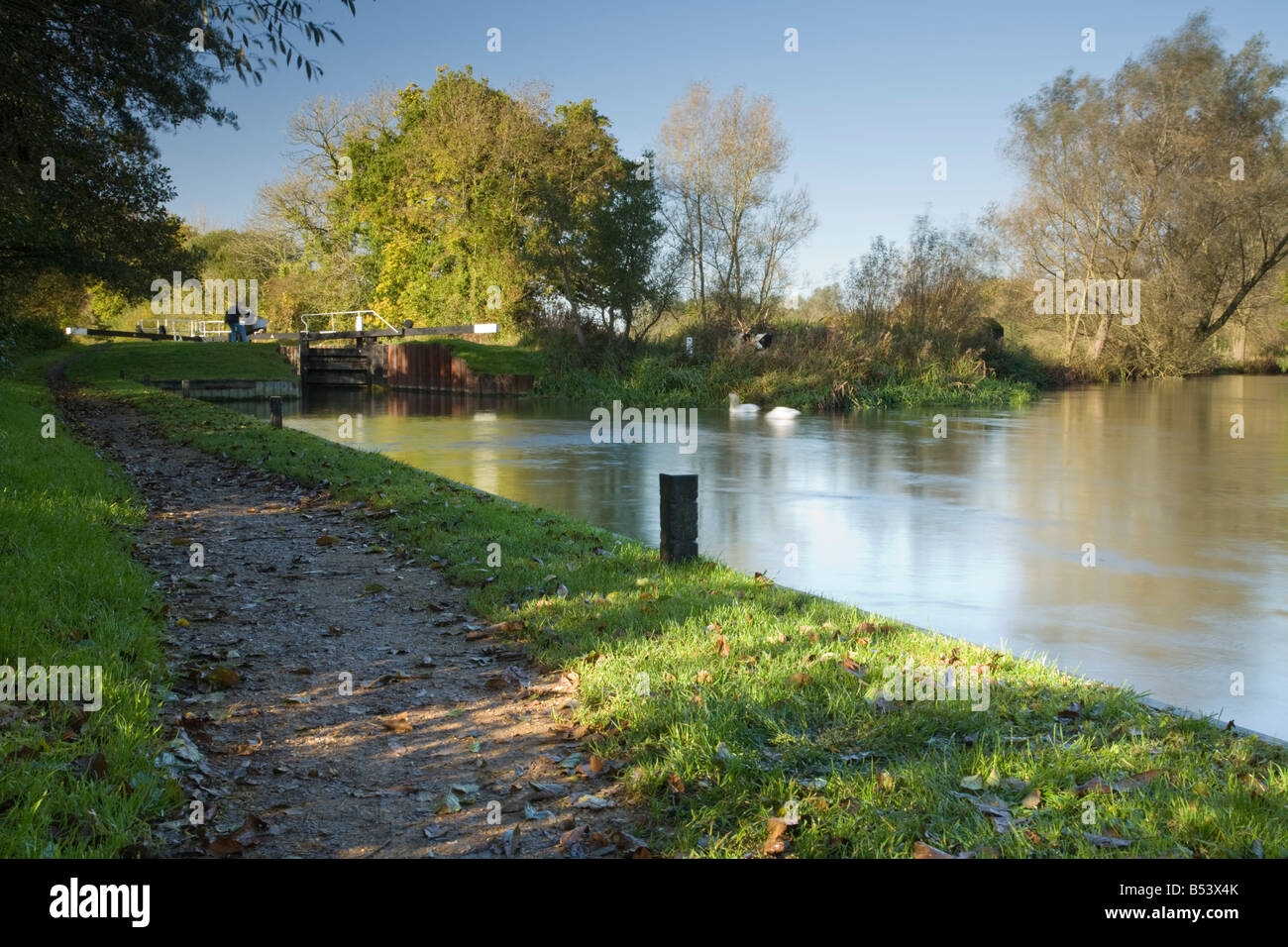 Theale reading hi-res stock photography and images - Alamy