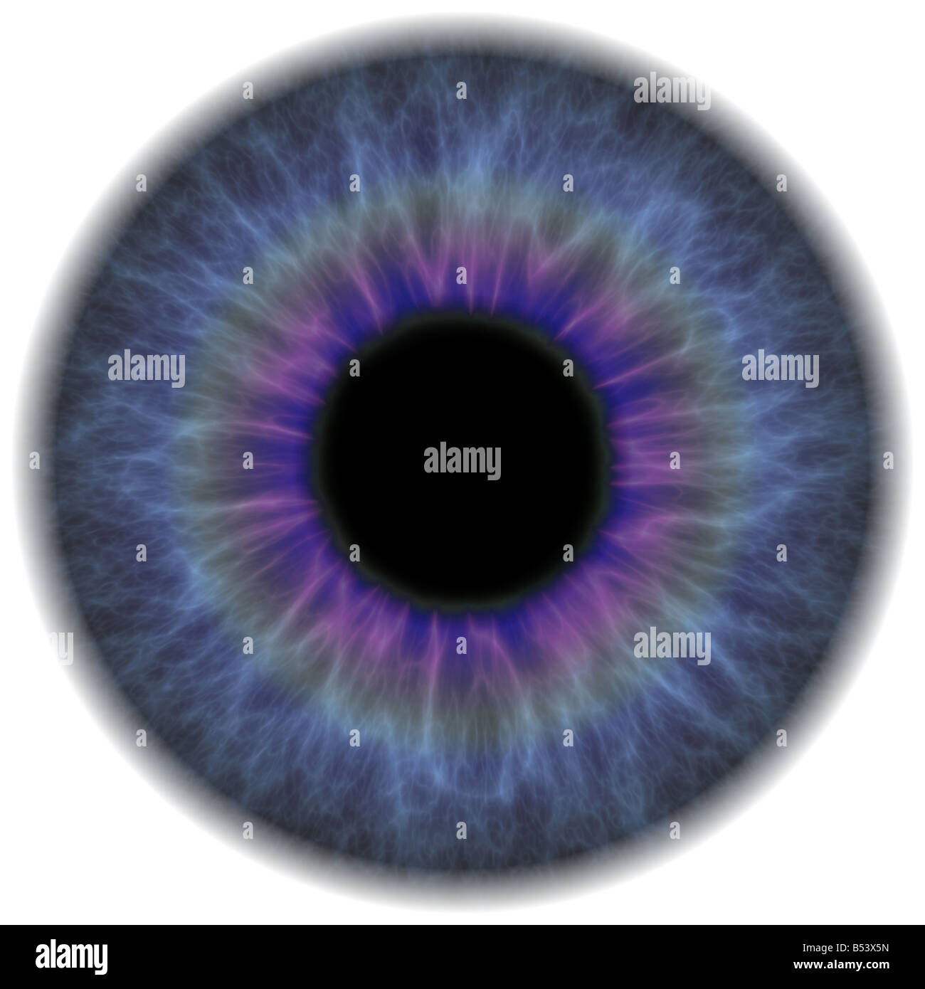 How lens of eye works hi-res stock photography and images - Alamy