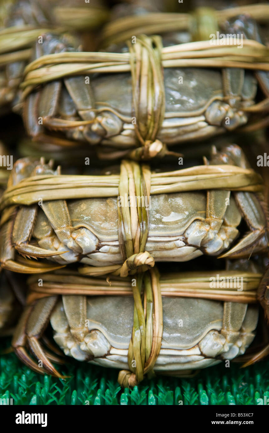 Hong kong crab hi-res stock photography and images - Alamy