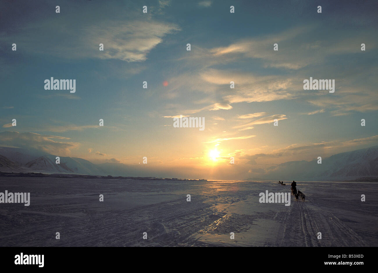 huskies - pulling sledge in polar night Stock Photo - Alamy