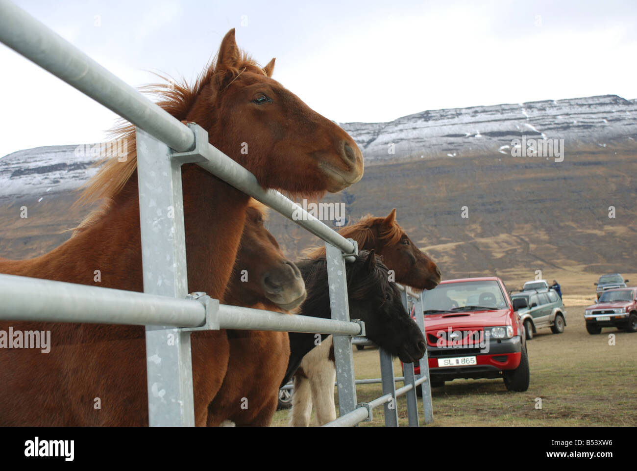Standing behind fence hi-res stock photography and images - Alamy