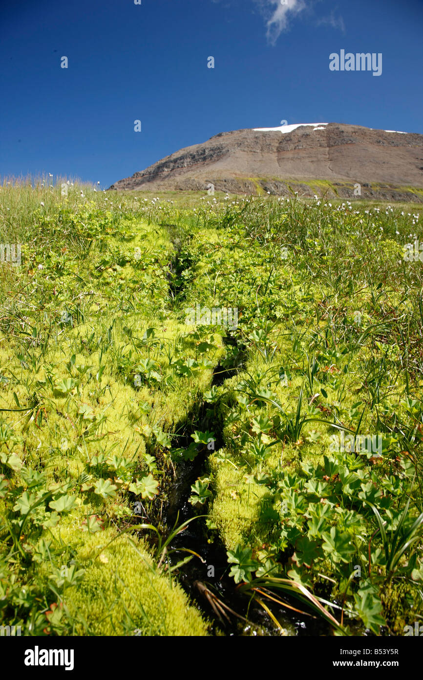 Pure wilderness hi-res stock photography and images - Alamy