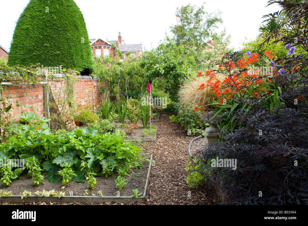 Vegetable plot hi-res stock photography and images - Alamy