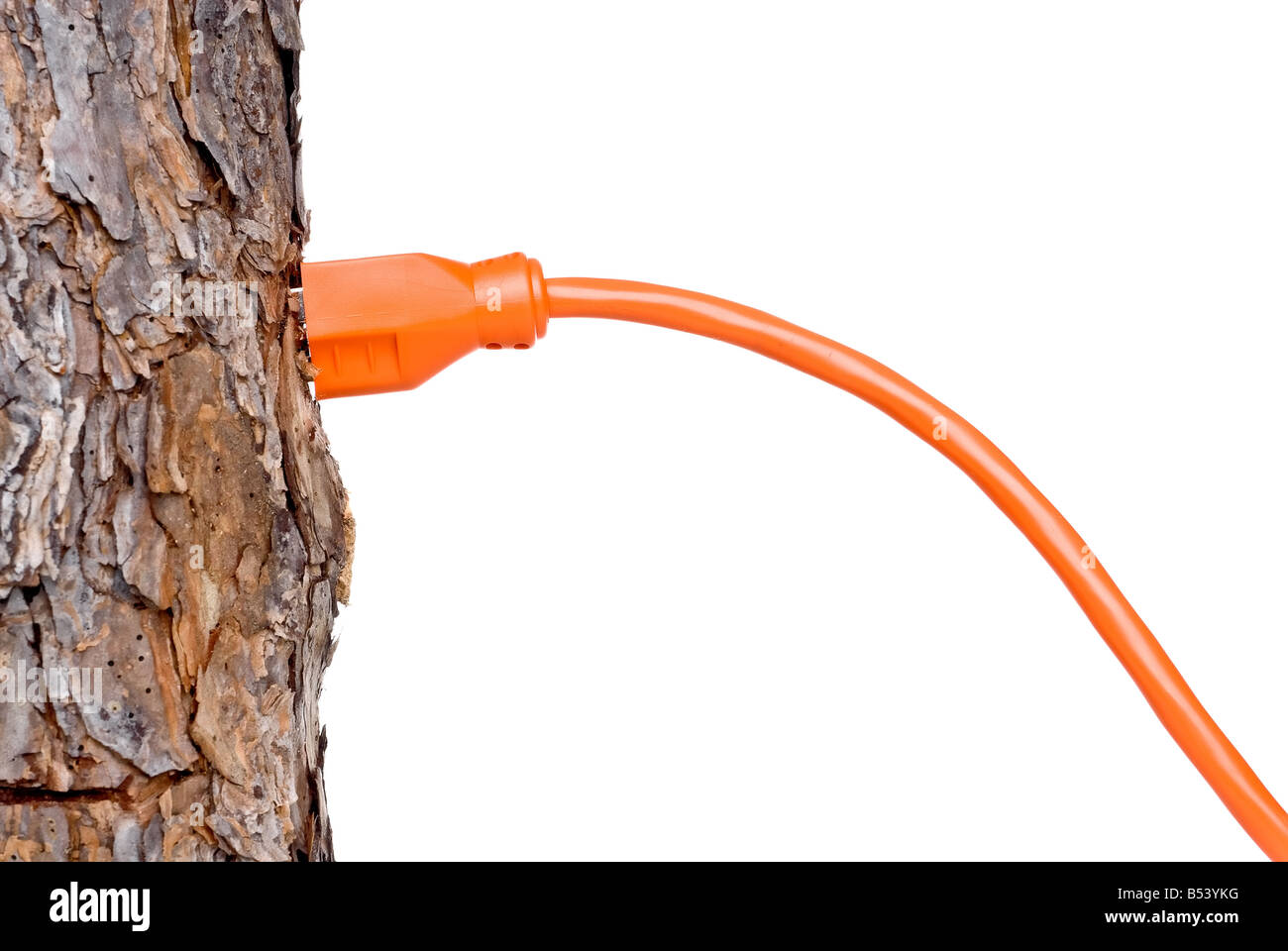 Extension cord in a tree trunk Stock Photo - Alamy