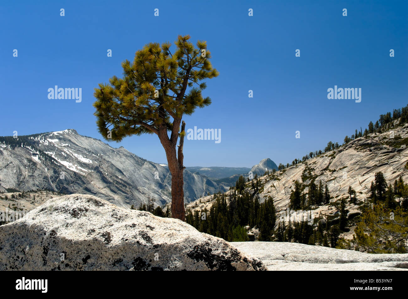 Olmsted point tioga pass hi-res stock photography and images - Alamy