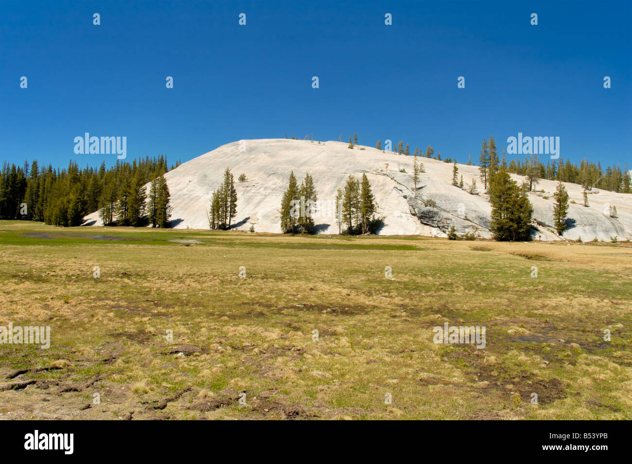Pothole Dome at Tuolumne Meadows in Yosemite National Park Stock Photo ...