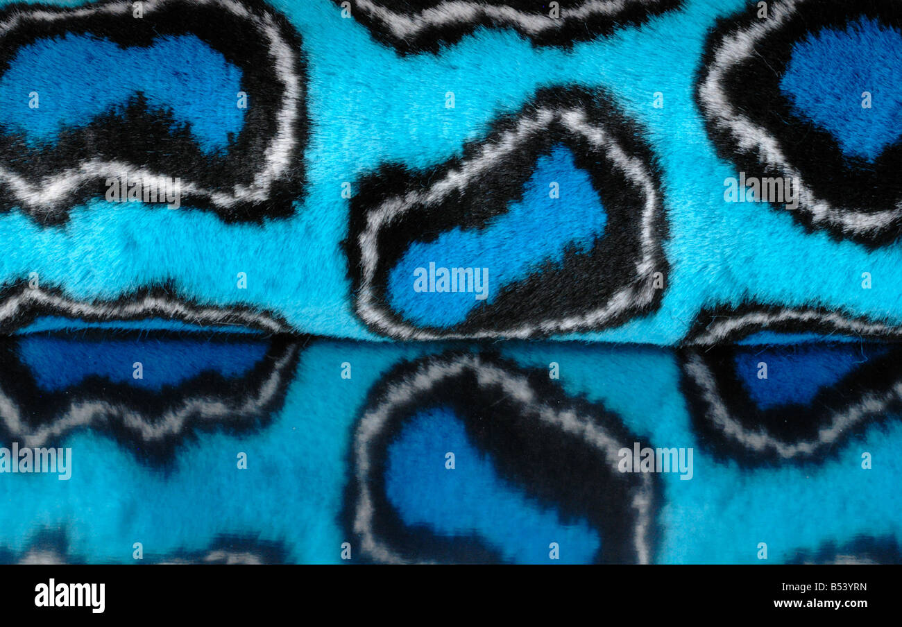 The colorful blue spots on this stuffed snake reflect on a silvery ...