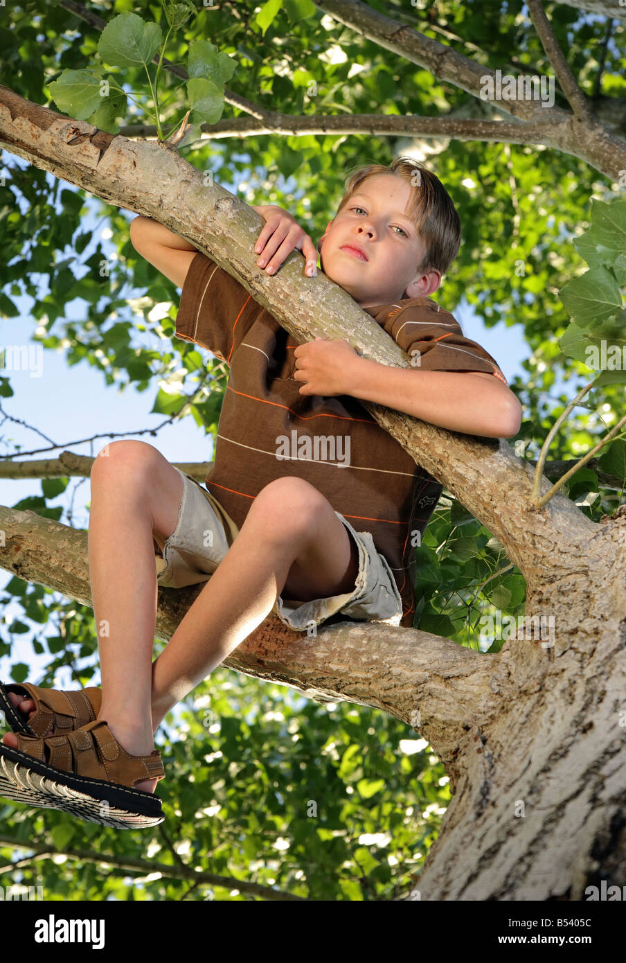 unhappy boy in a tree Stock Photo - Alamy
