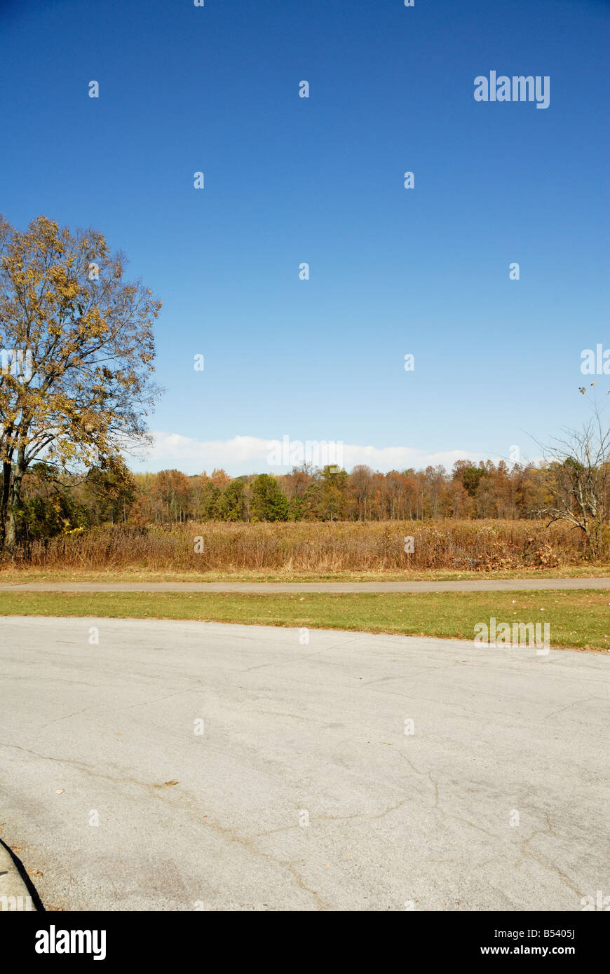 Fall scene with deep blue sky and line of clouds Stock Photo - Alamy