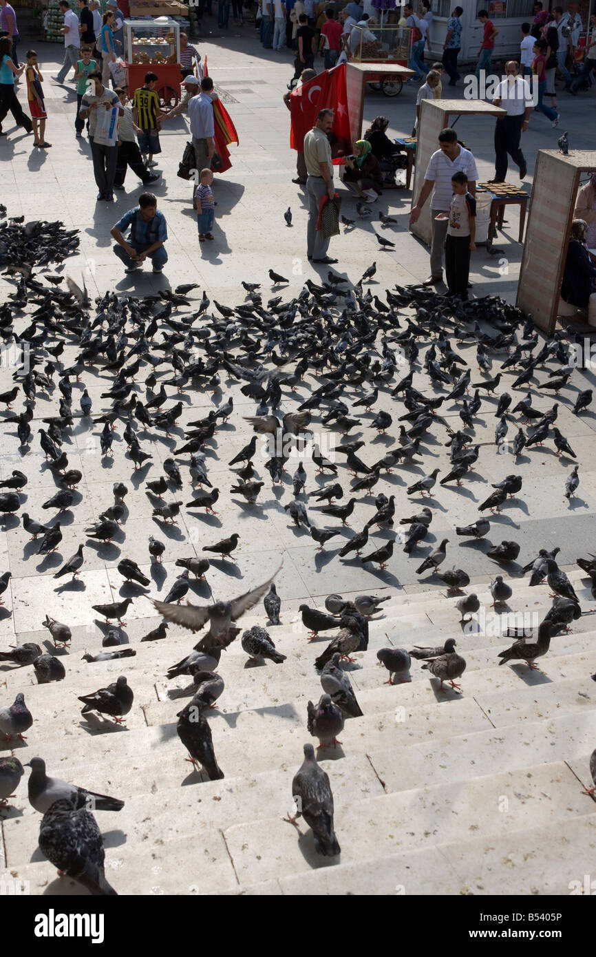 Pigeons Eminonu Istanbul Turkey Stock Photo - Alamy