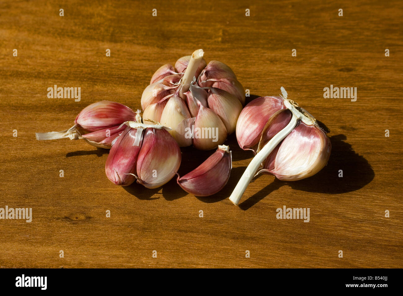 Purple garlic bulb with some cloves hi-res stock photography and images ...