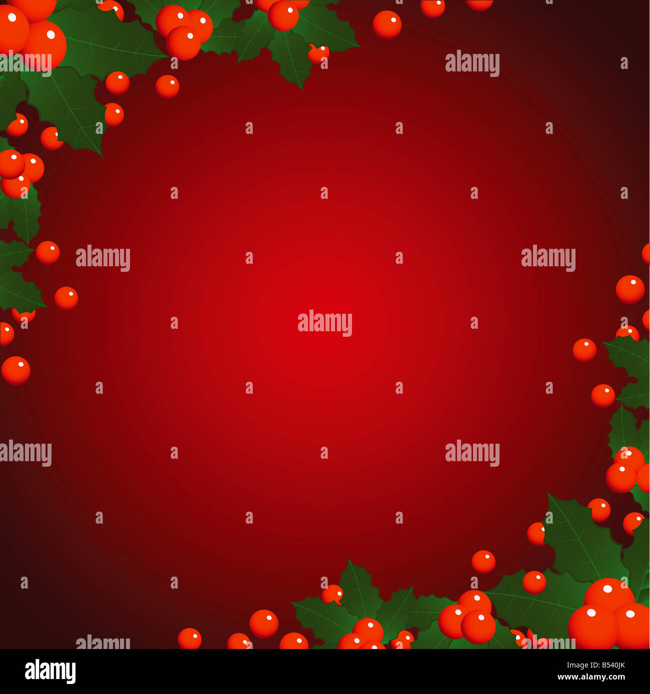 Christmas holly background Stock Photo - Alamy