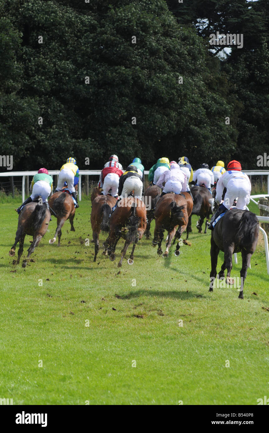 Horse racing beverley races hi-res stock photography and images - Alamy
