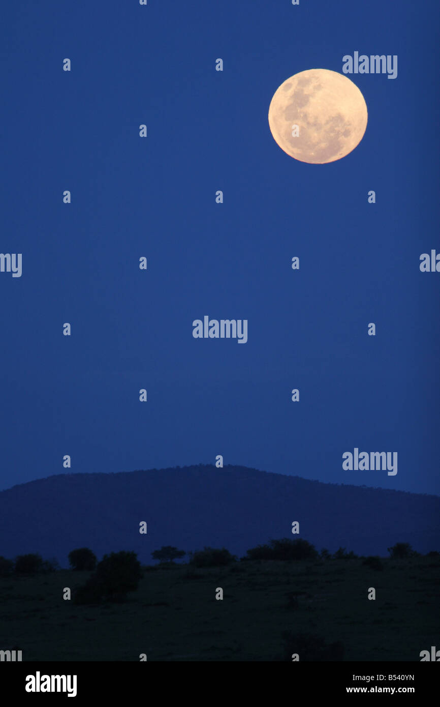 full moon over Masai Mara Stock Photo - Alamy