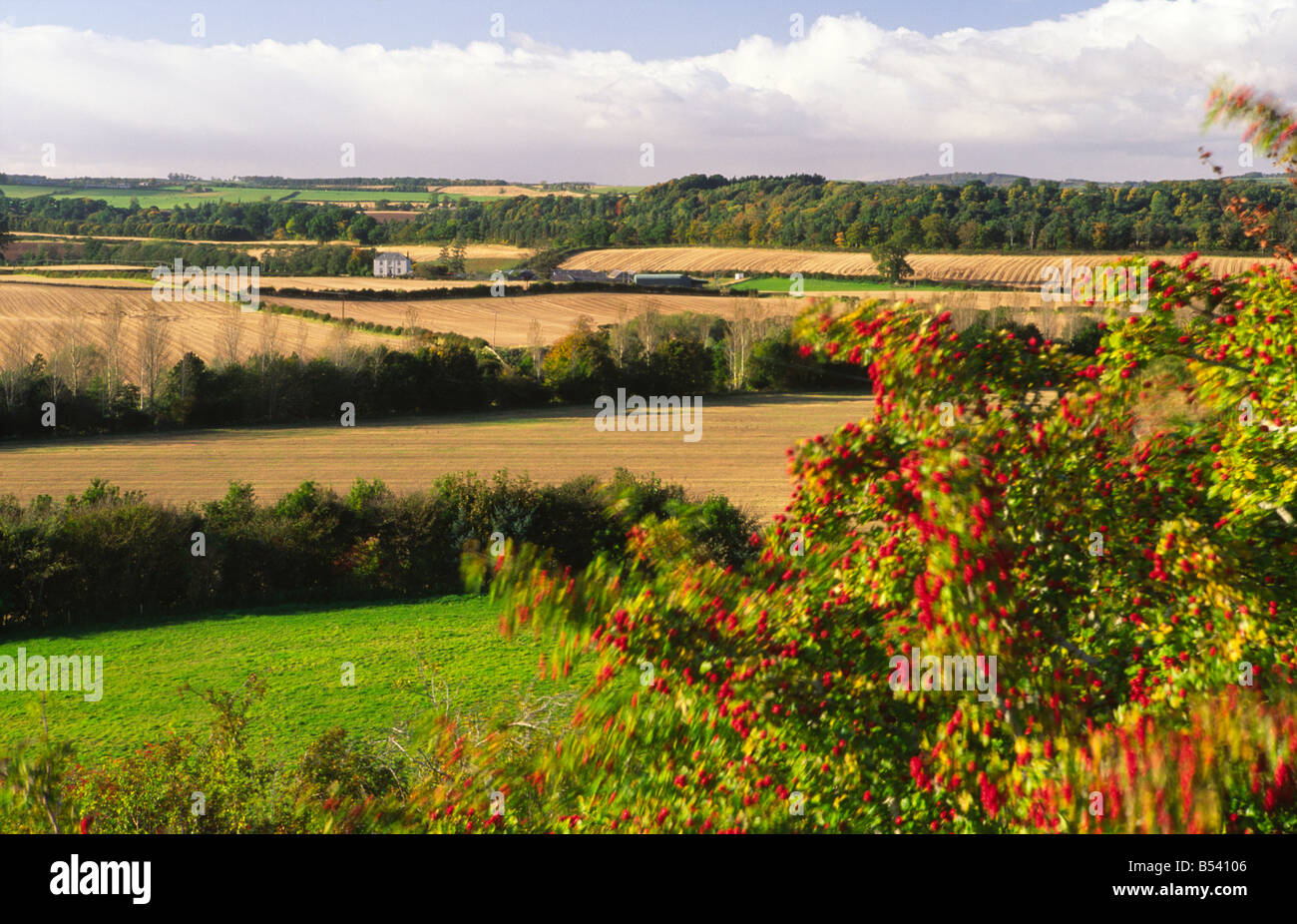Scotland landscape borders hi-res stock photography and images - Alamy