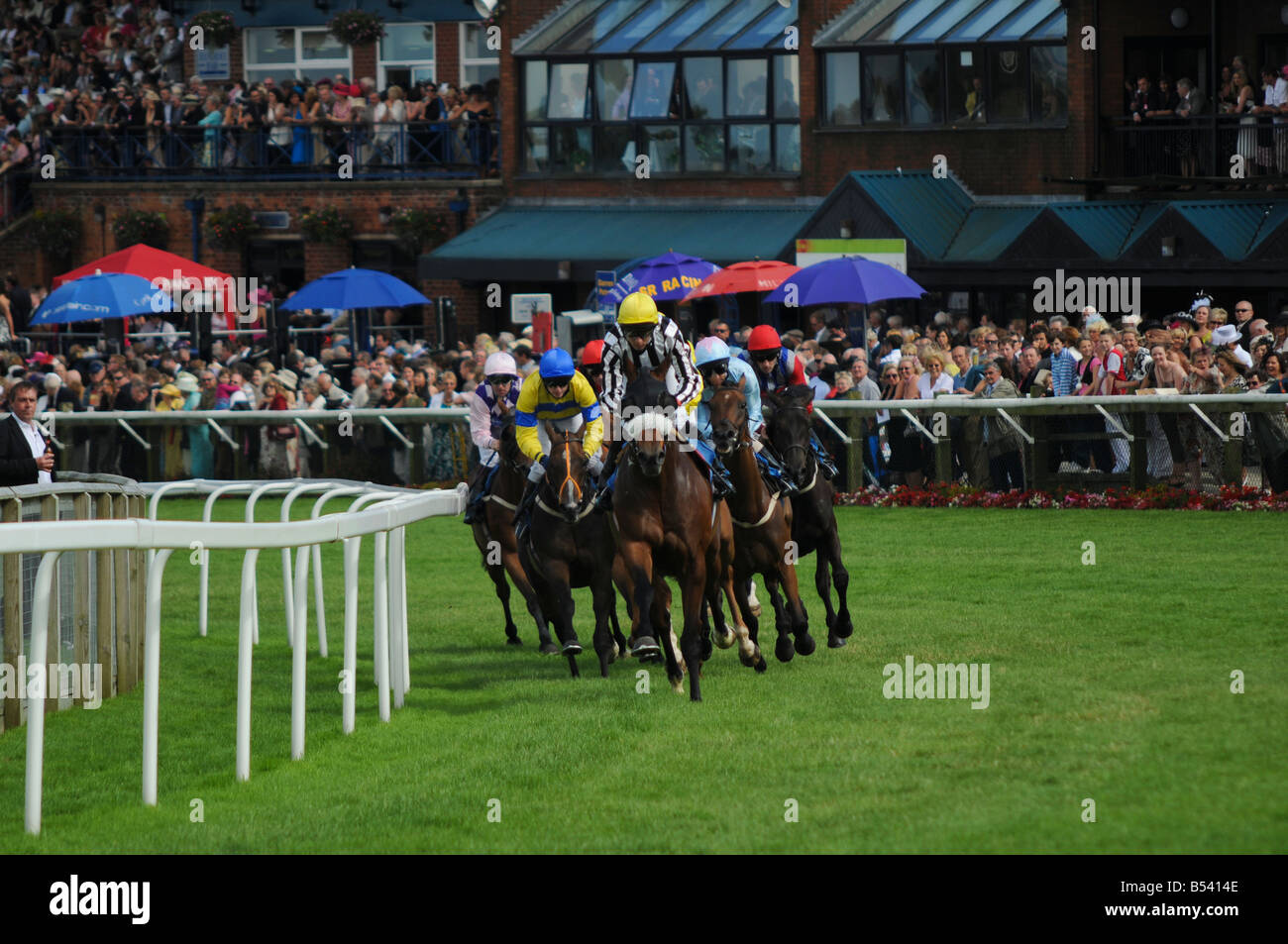 Thoroughbred horse racing at Beverley Westwood, UK Stock Photo - Alamy