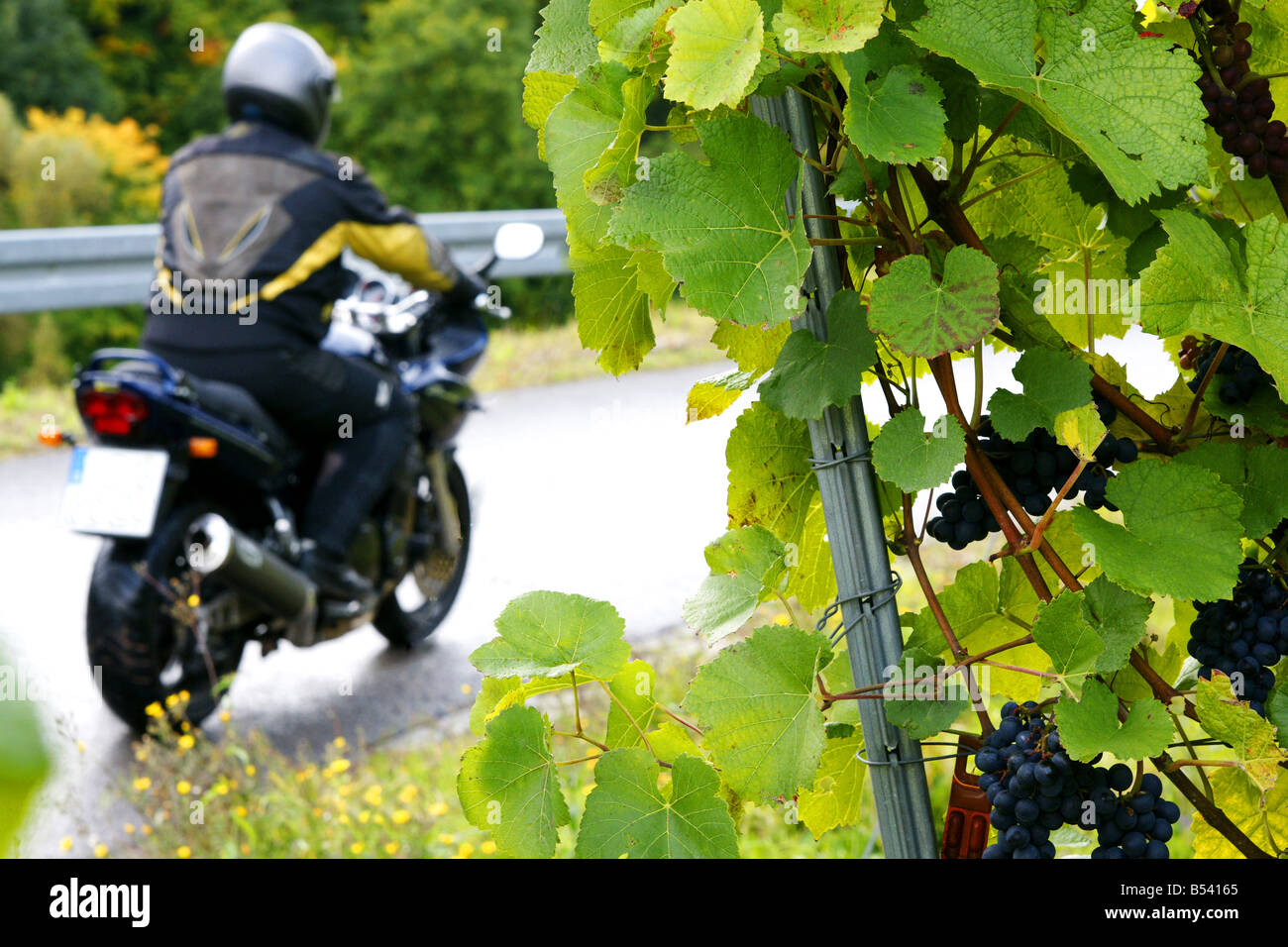Motorbike fruits hi-res stock photography and images - Alamy