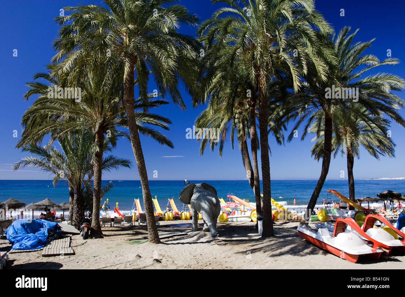 Copse of palm trees hi-res stock photography and images - Alamy