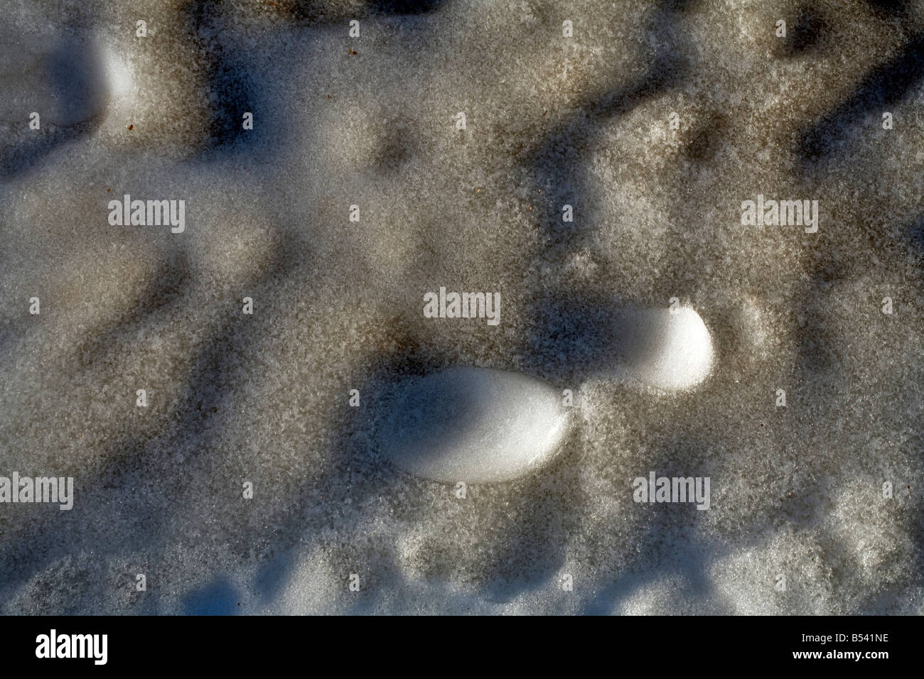 Compacted Snow Stock Photos & Compacted Snow Stock Images - Alamy