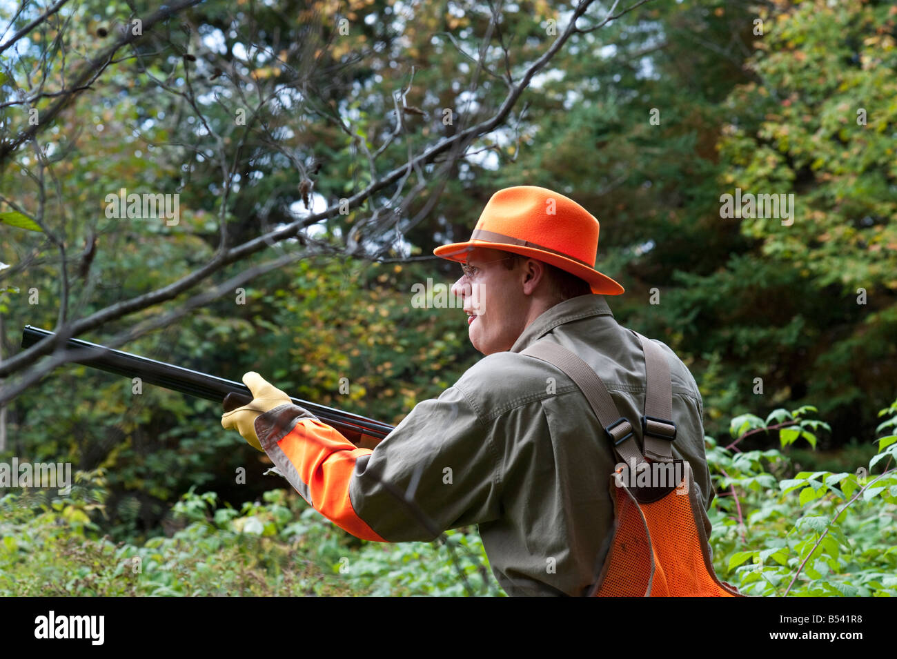 Woodcock and grouse or partridge hunting in New Brunswick Canada Stock ...