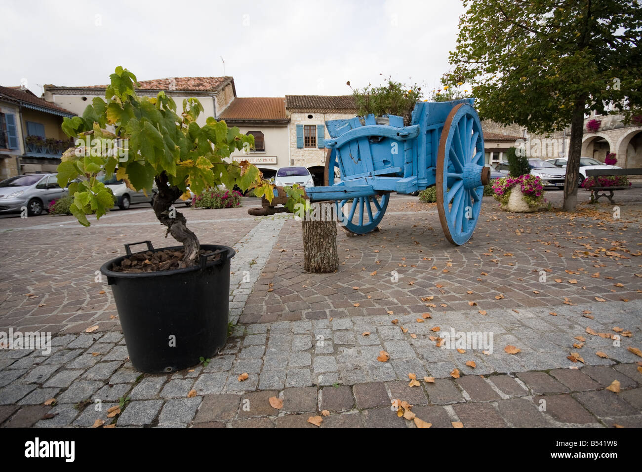 Grape cart and vine Stock Photo - Alamy