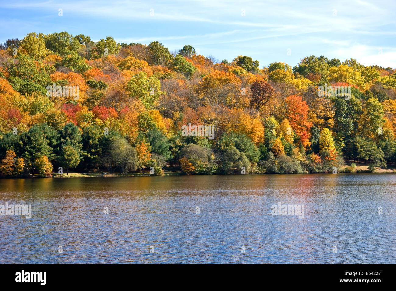 Brightly colored trees hi-res stock photography and images - Alamy