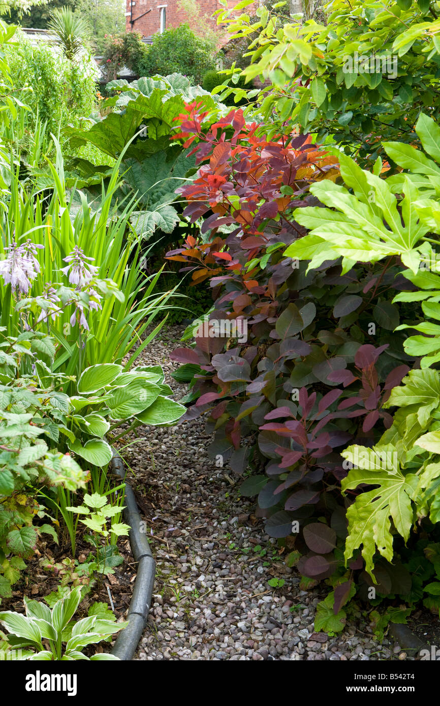 path through shrubs Stock Photo - Alamy