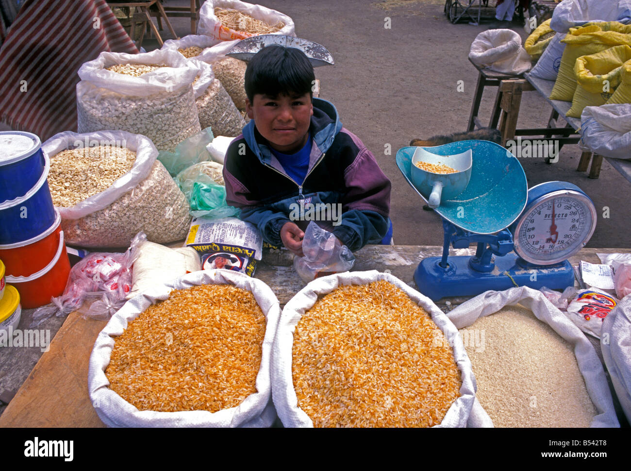 Ecuadorans, Ecuadoran, young boy, boy, child, vendor, front view ...