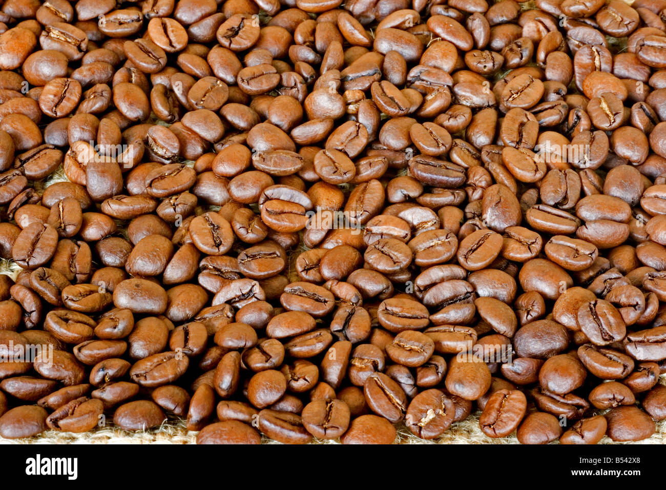 Coffee beans display hi-res stock photography and images - Alamy