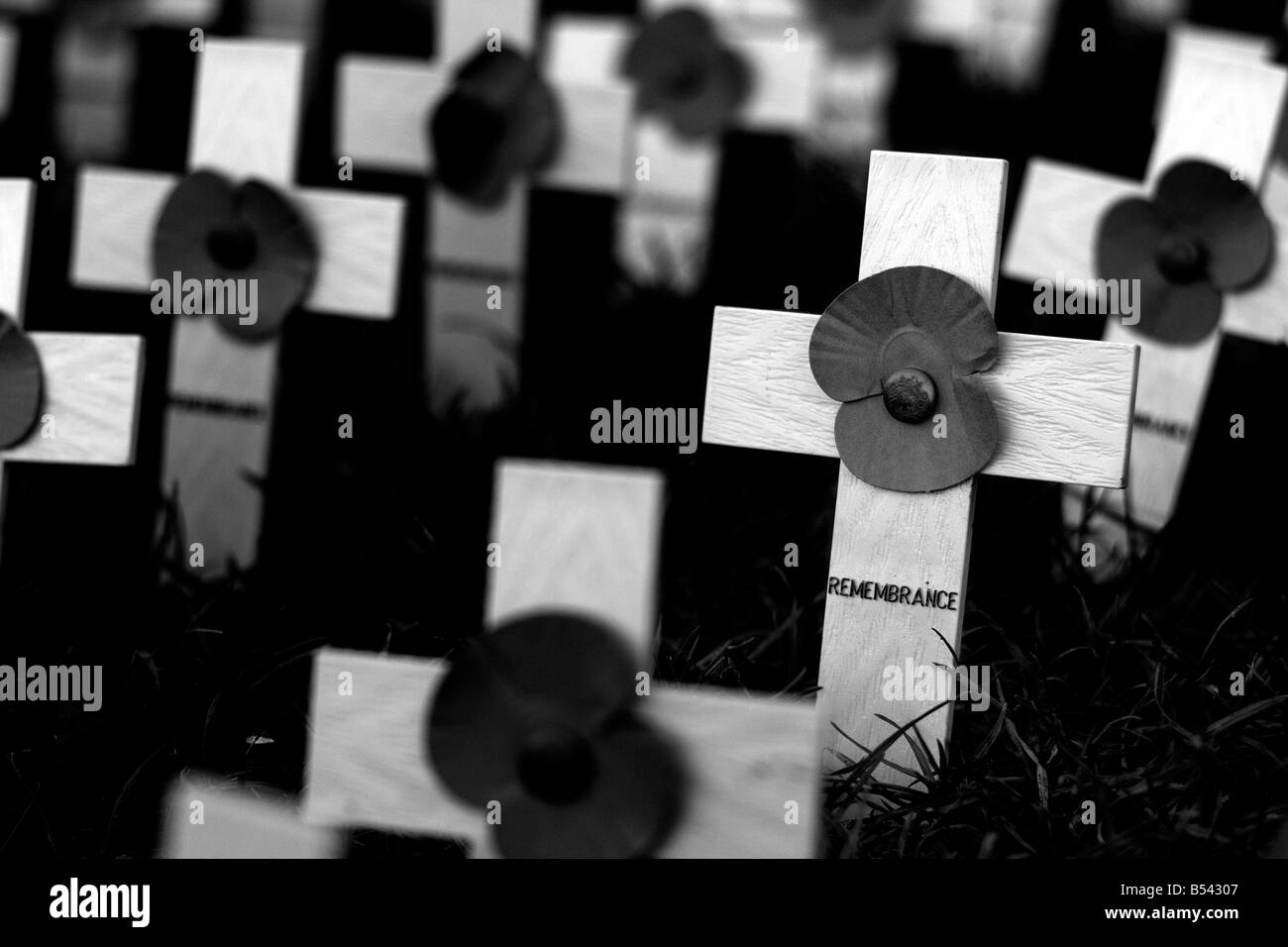 Remembrance Crosses in black and white Stock Photo - Alamy