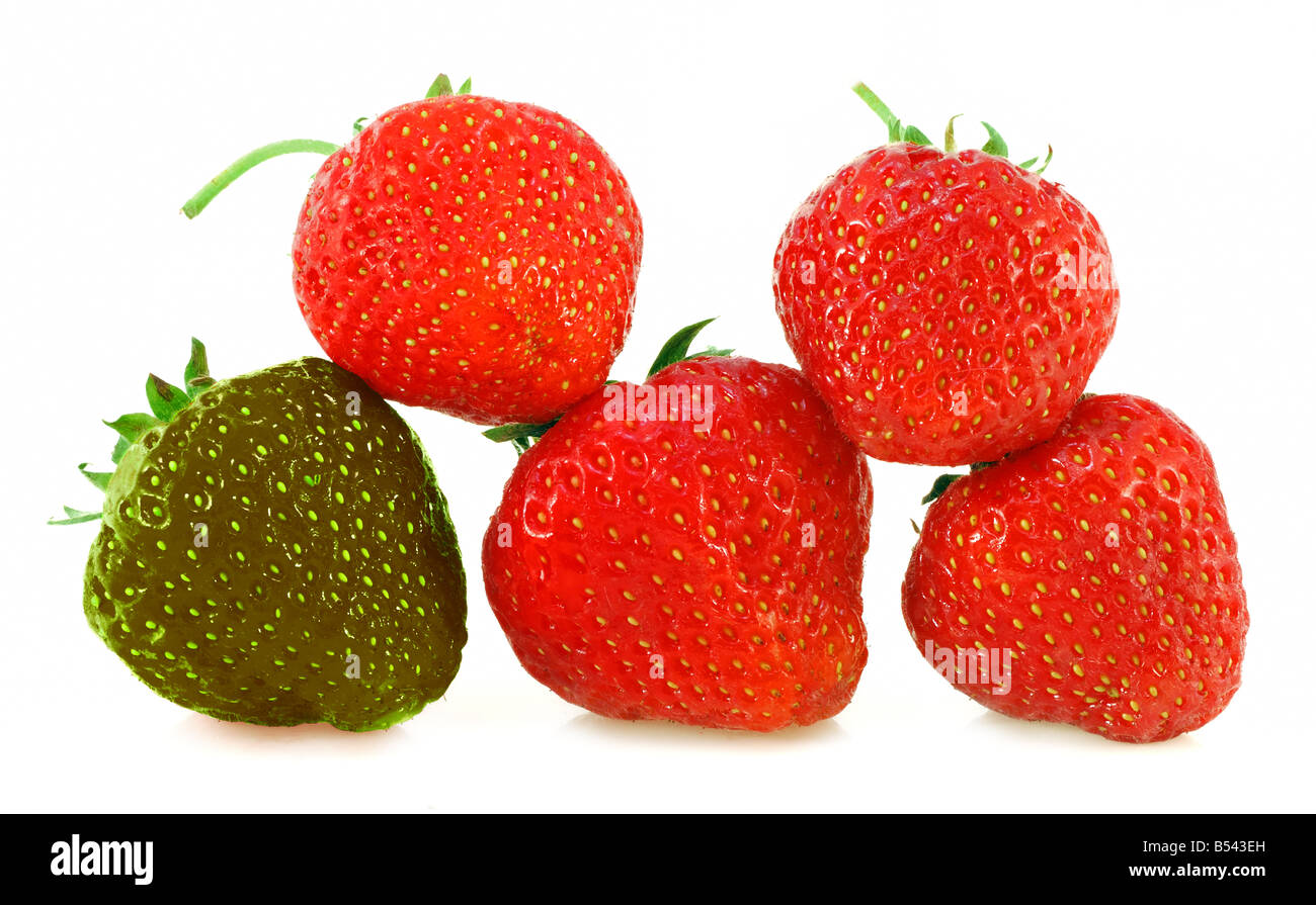 five fresh strawberries on a white background Stock Photo - Alamy