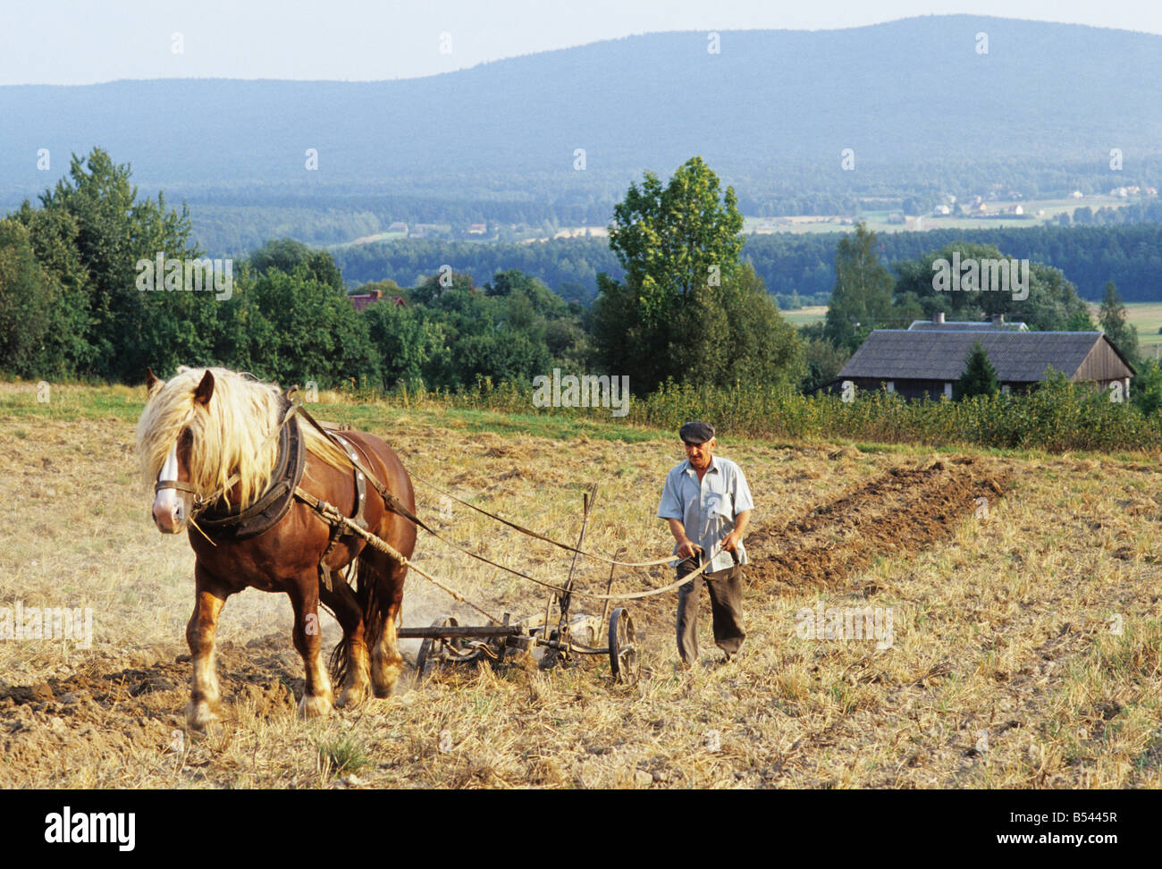 Poland Psary village, tillage drudgery toil with horse plough Stock ...